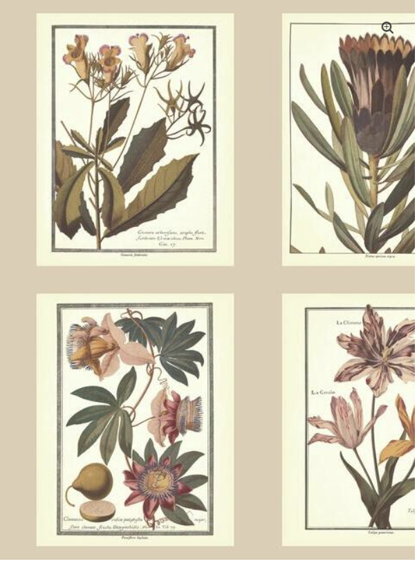 Fall Color Palates – O-Gee Paint